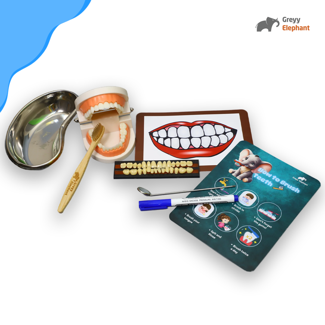 Dental Care Combo – Greyy Elephant Learning Box